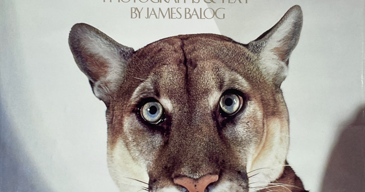 Publication: Survivors / A New Vision of Endangered Wildlife - James ...